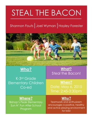 Program Plan -3 | PDF