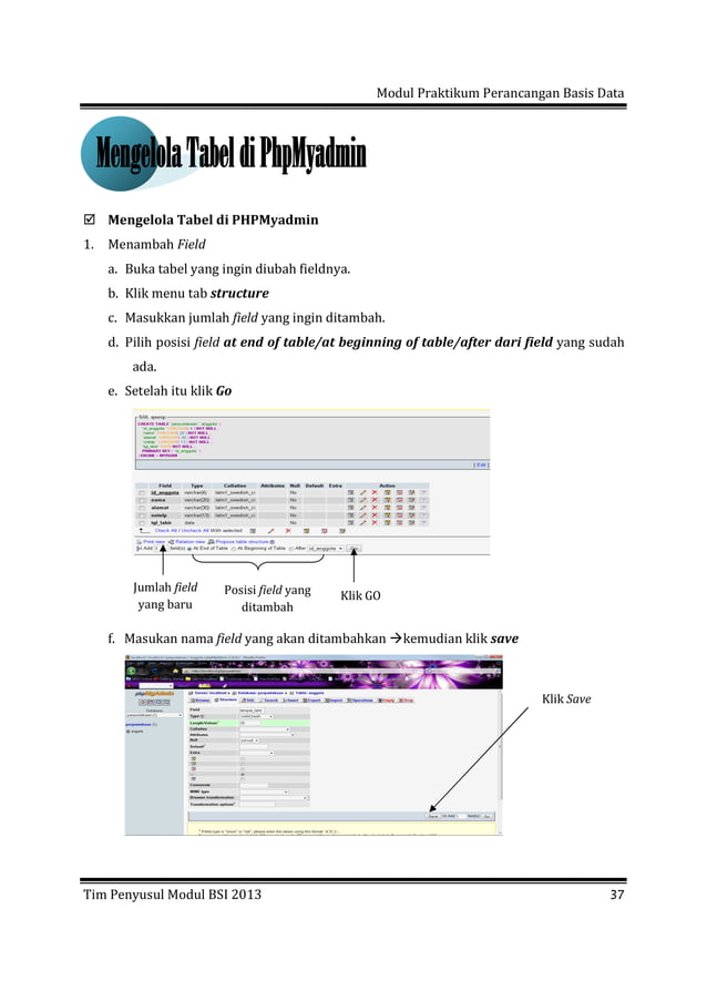 D3 mi modul_ppbd_maret2013 | PDF