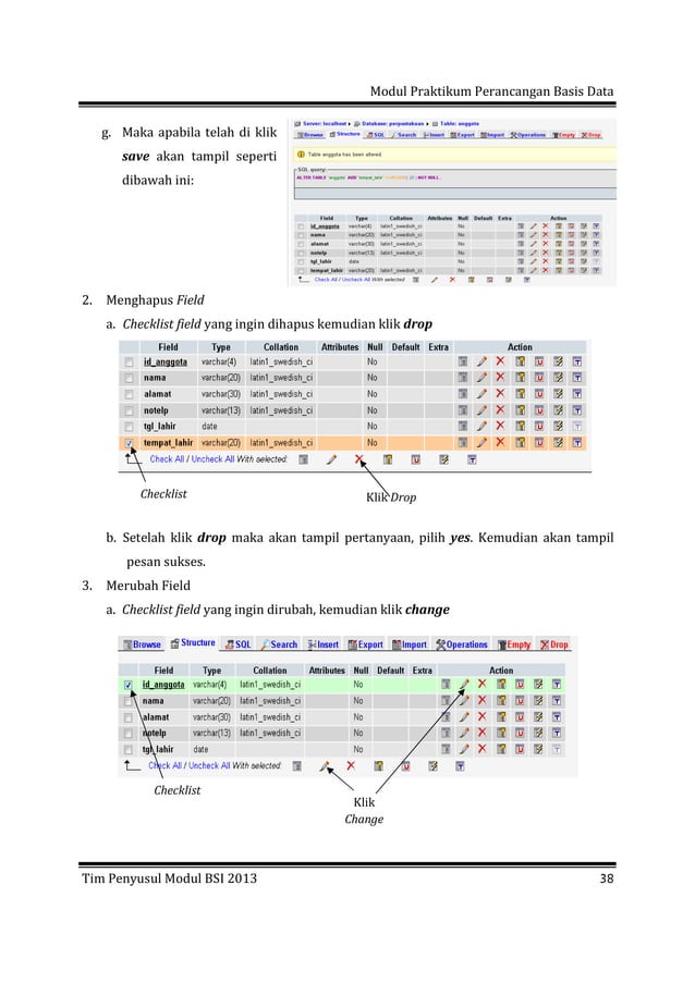 D3 mi modul_ppbd_maret2013 | PDF