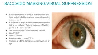 Saccadic masking | PPTX