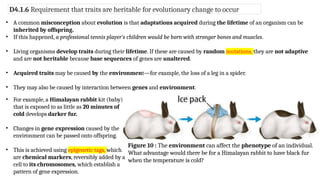 IB DP D Continuity and change D4.1 Natural selection.pptx