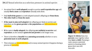 IB DP D Continuity and change D4.1 Natural selection.pptx
