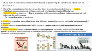 IB DP D Continuity and change D4.1 Natural selection.pptx