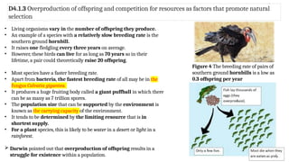 IB DP D Continuity and change D4.1 Natural selection.pptx