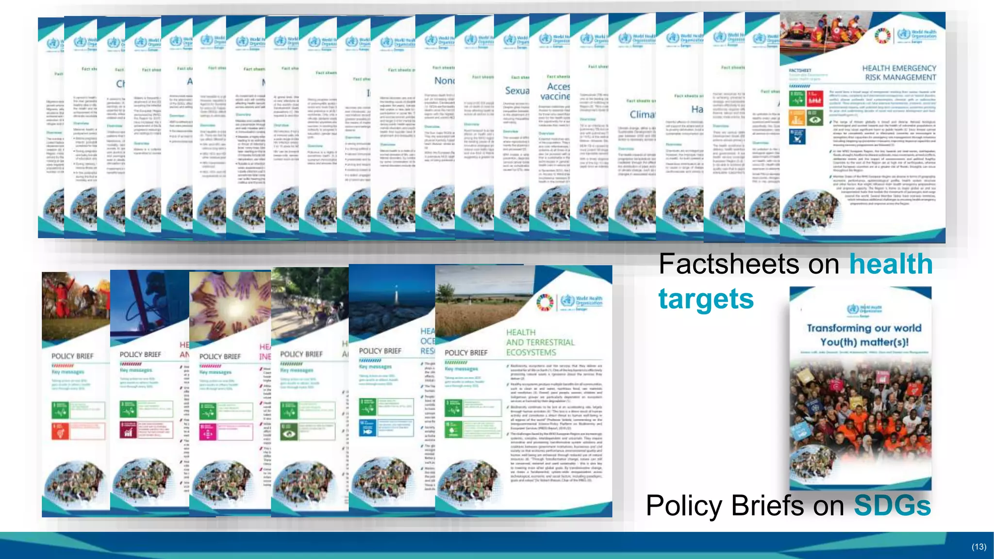 Progress report on the implementation of the SDG roadmap - Building on ...