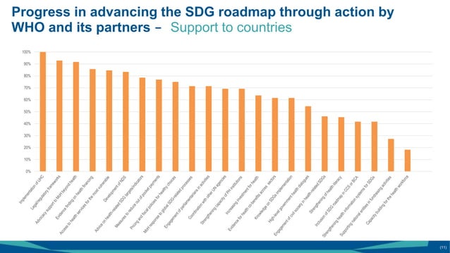 Progress report on the implementation of the SDG roadmap - Building on ...