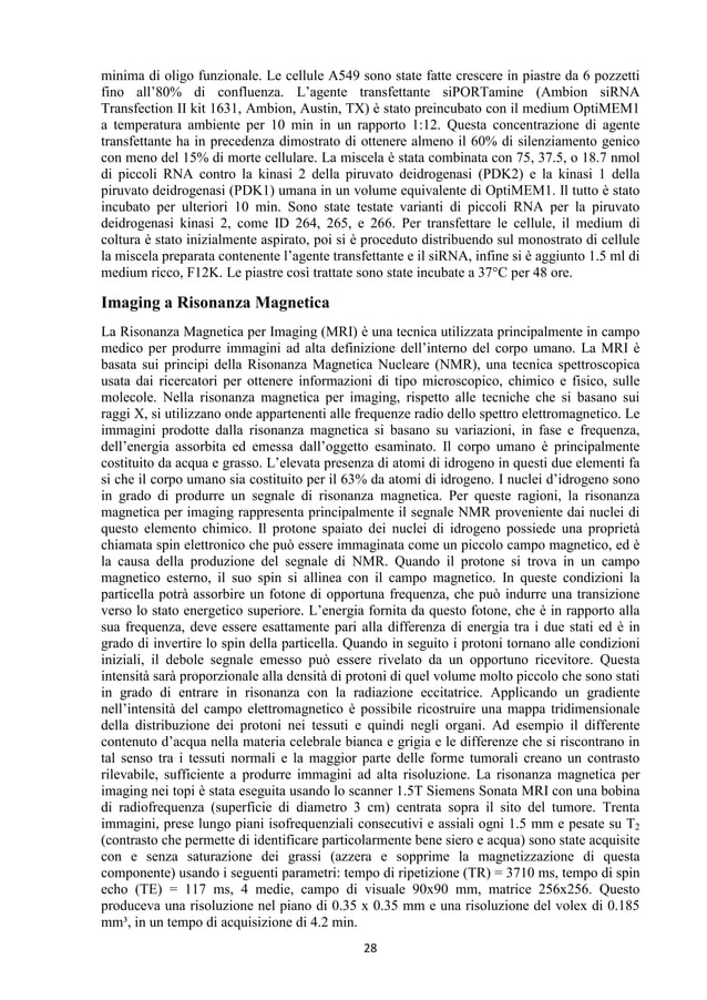 TESI triennale COMPLETA | PDF