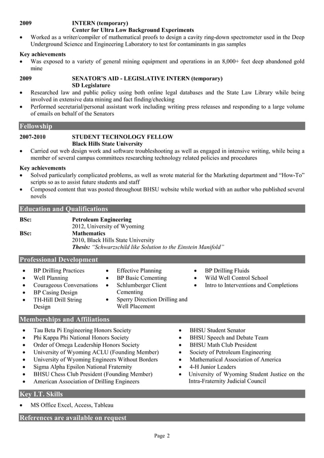 Peter Lemke CV | PDF