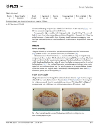 Brain Mass and Encephalization Quotients in the Domestic Industrial Pig ...