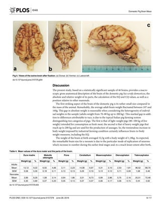 Brain Mass and Encephalization Quotients in the Domestic Industrial Pig ...