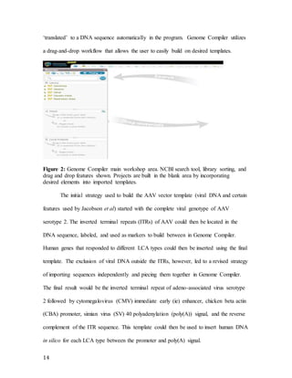 Thesis Final Finale BD (1) | PDF