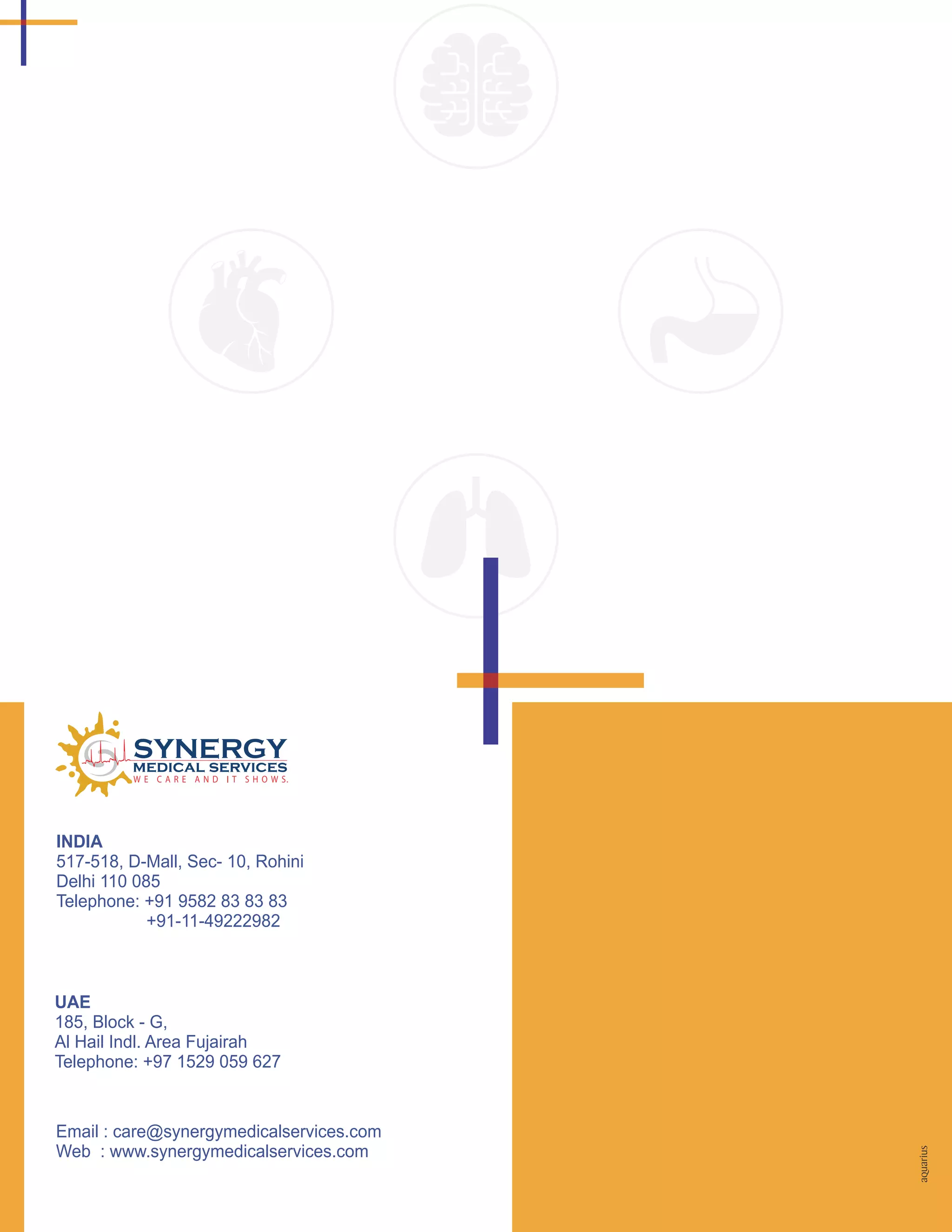 Synergy Medical Services Flyer | PDF