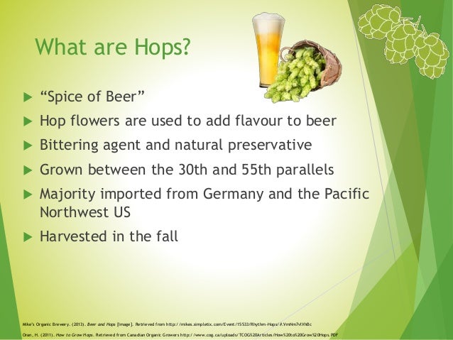 Hops Infographic