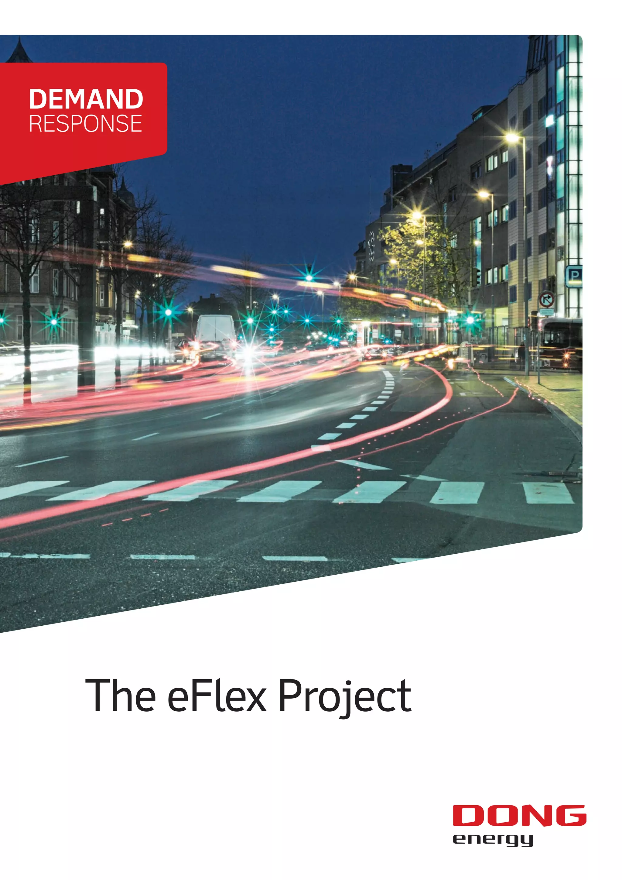 The eFlex Project-low | PDF
