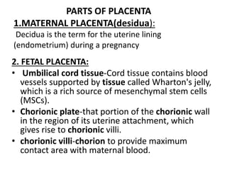 placental dissection | PPTX