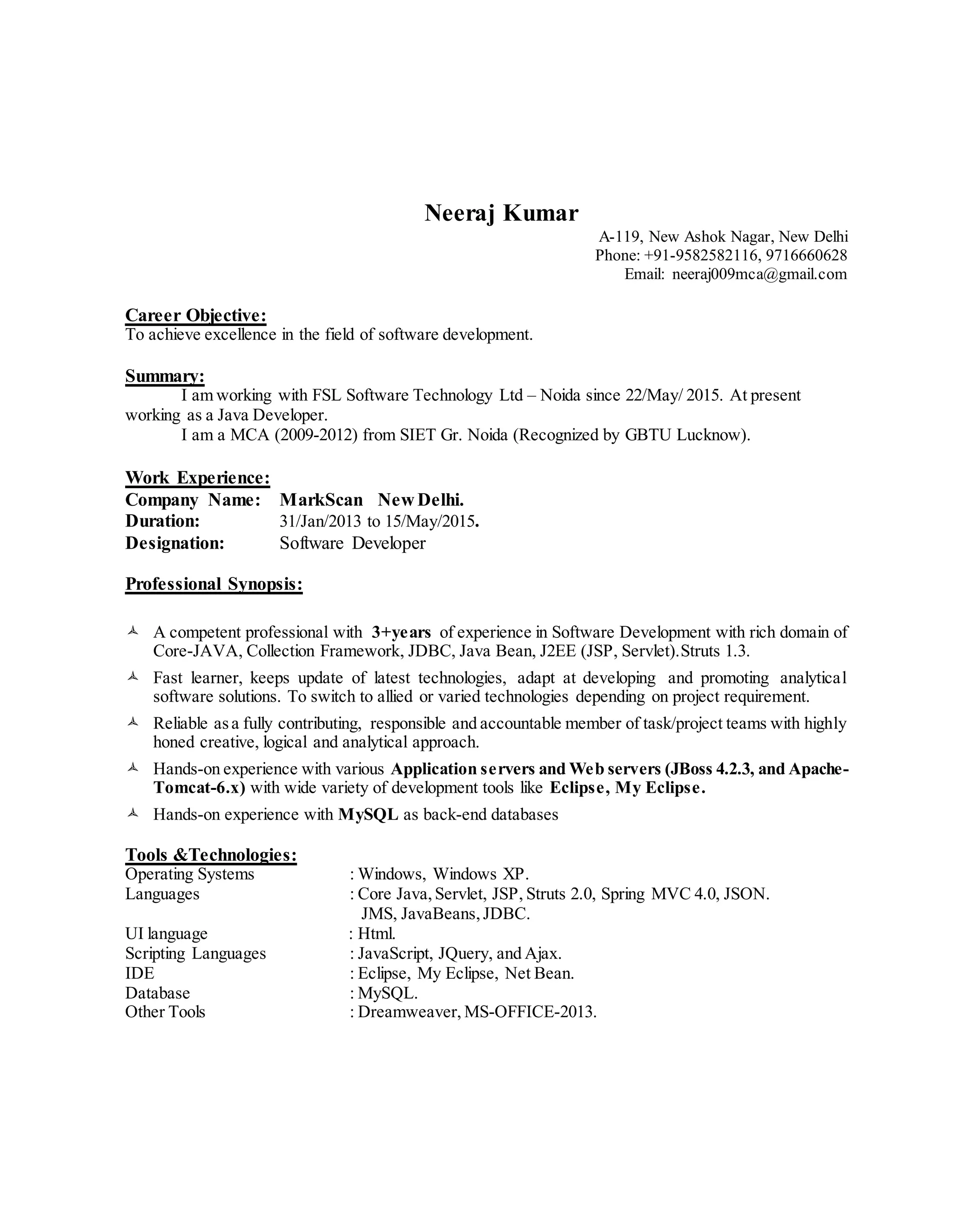 Neeraj | DOCX | Web Development | Internet