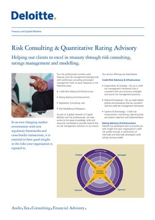 Deloitte Risk Consulting Flyer - Lapman Lee Netherlands Lead | PDF