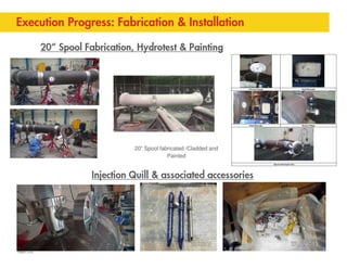 MEG Primary Injection Project | PDF