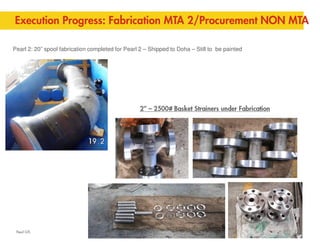 MEG Primary Injection Project | PDF