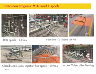 MEG Primary Injection Project | PDF