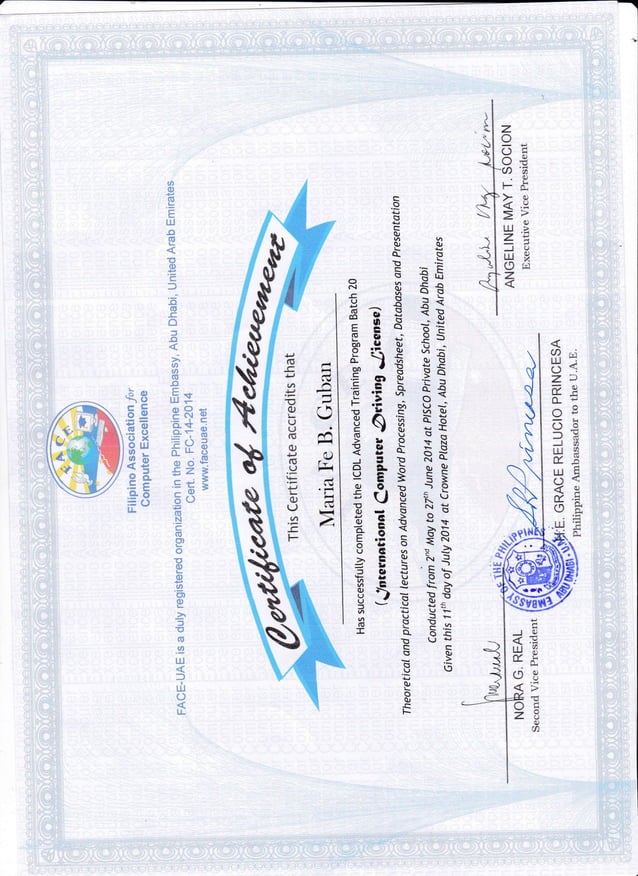 ICDL ADVANCE CERTIFICATE | PDF