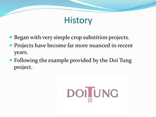 Alternative Development | PPTX