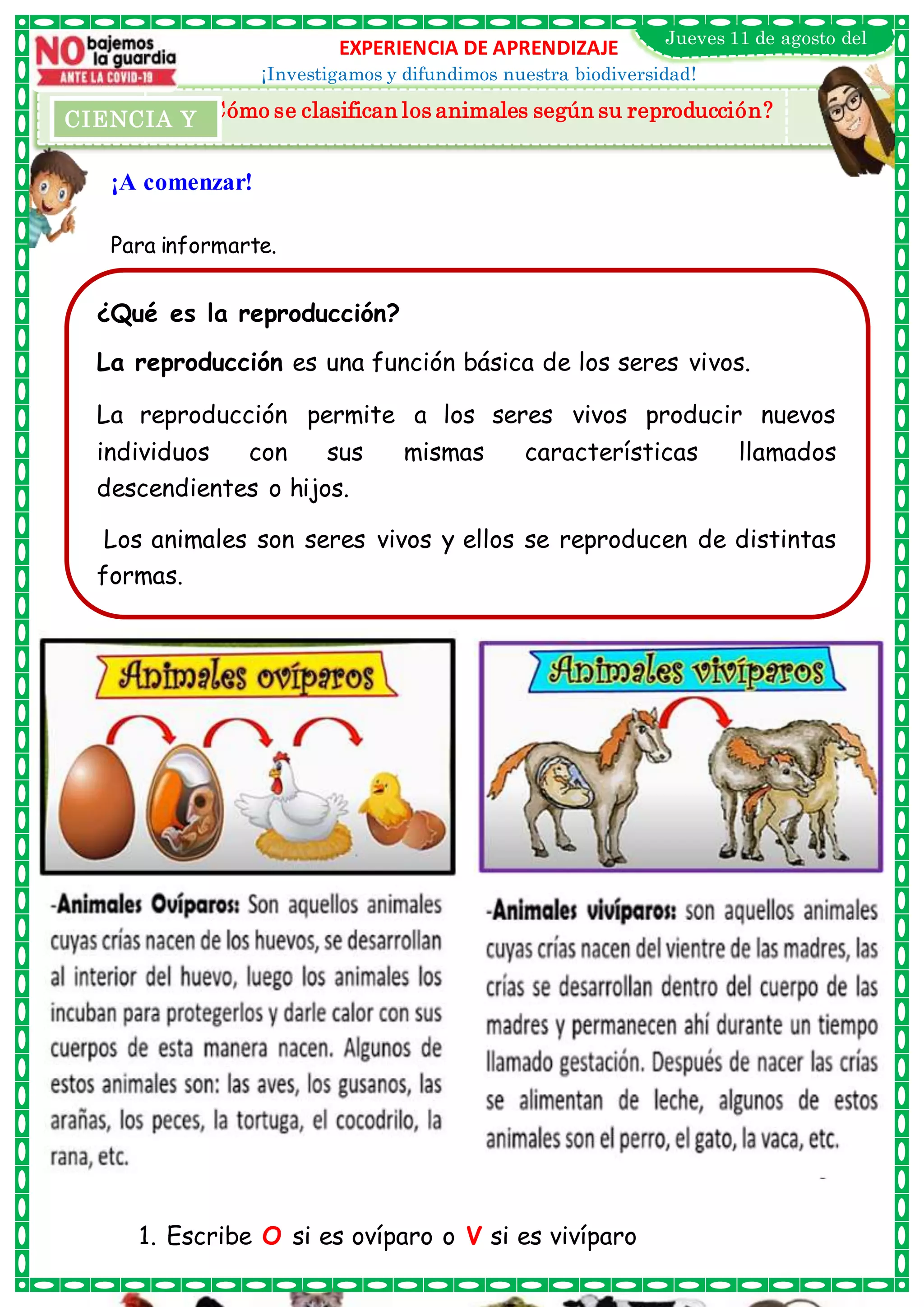 D4 A1 FICHA ¿Cómo se clasifican los animales según su reproducción.docx