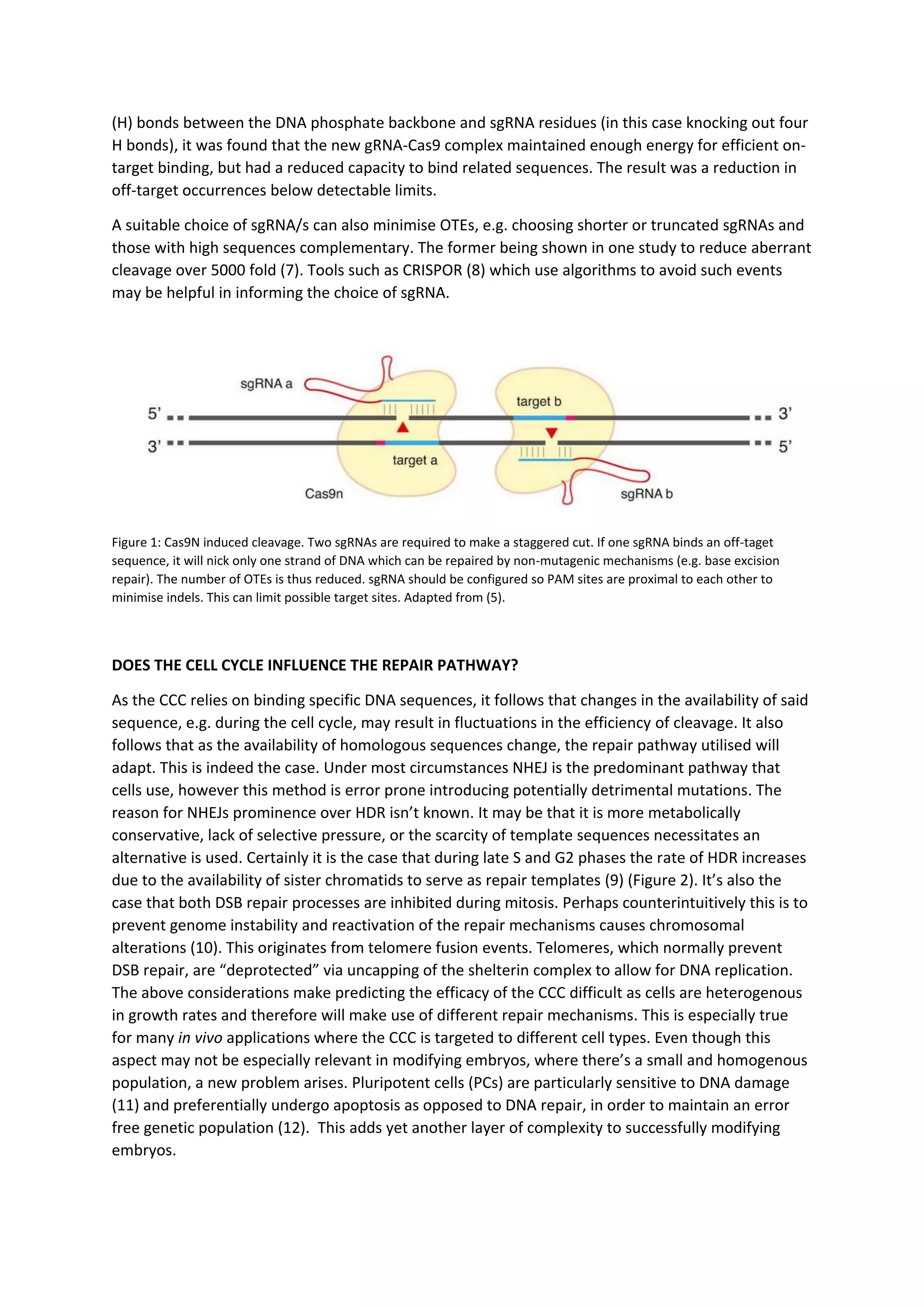 The Efficiency and Ethics of the CRISPR System in Human Embryos | PDF