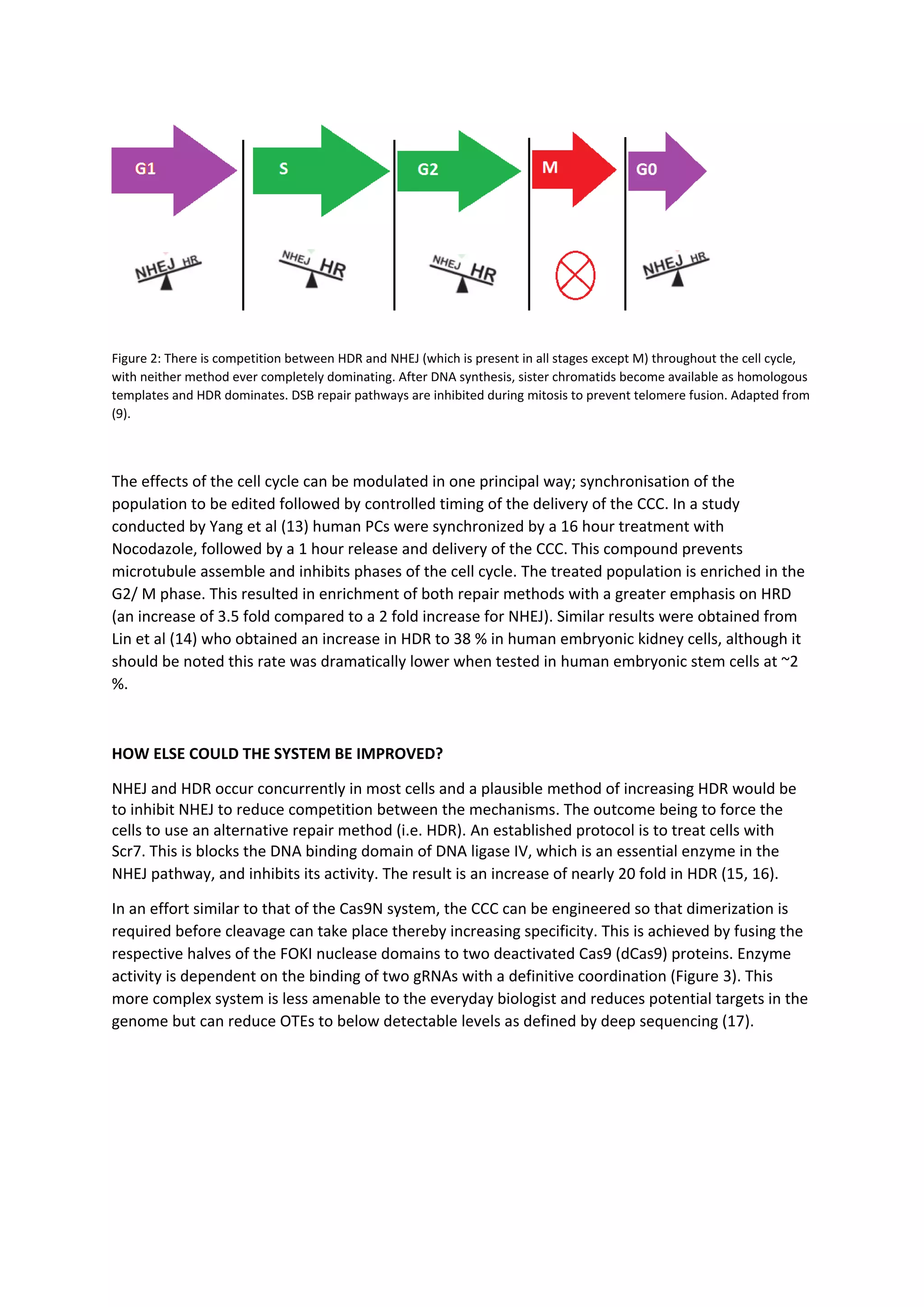 The Efficiency and Ethics of the CRISPR System in Human Embryos | PDF