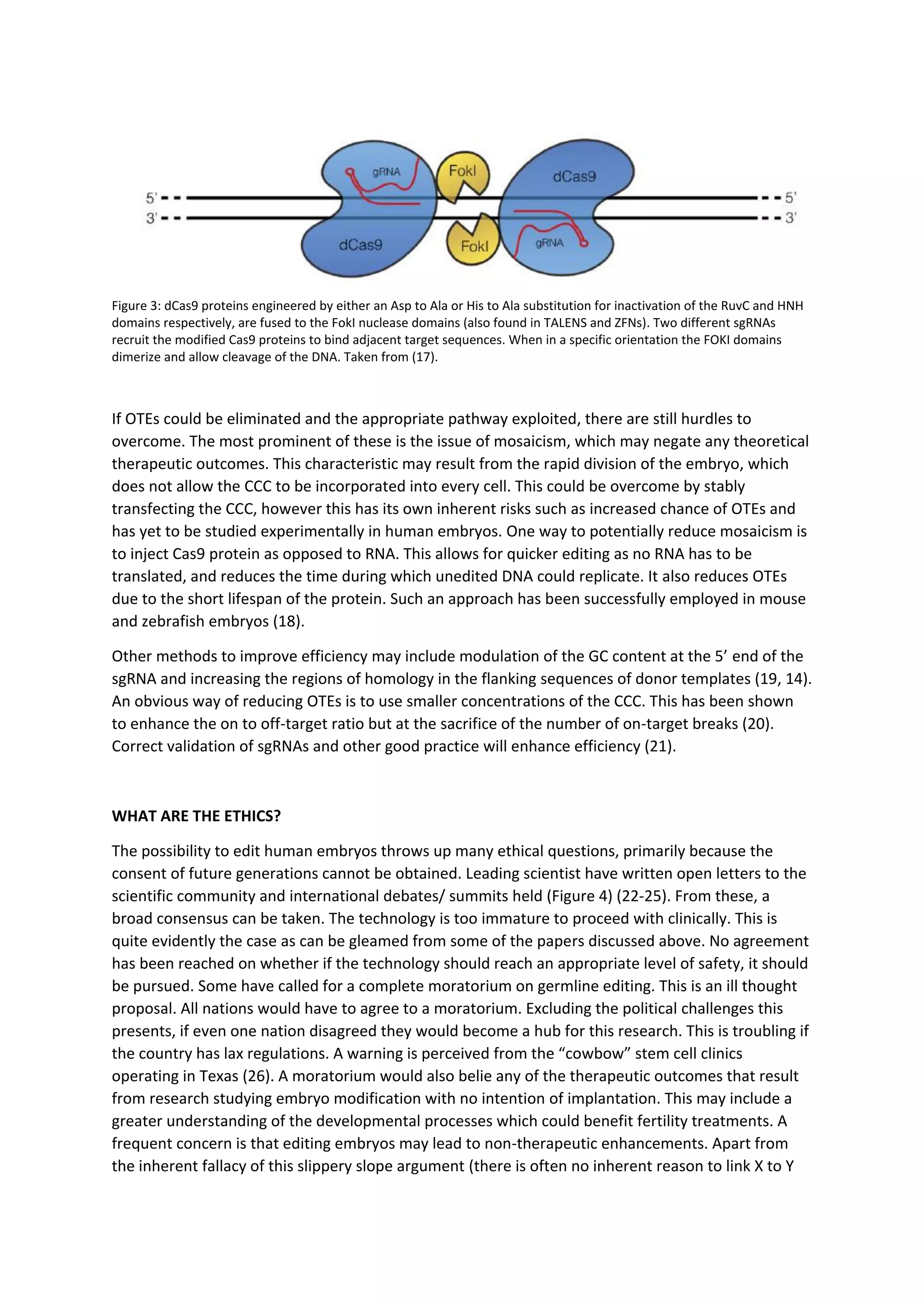 The Efficiency and Ethics of the CRISPR System in Human Embryos | PDF