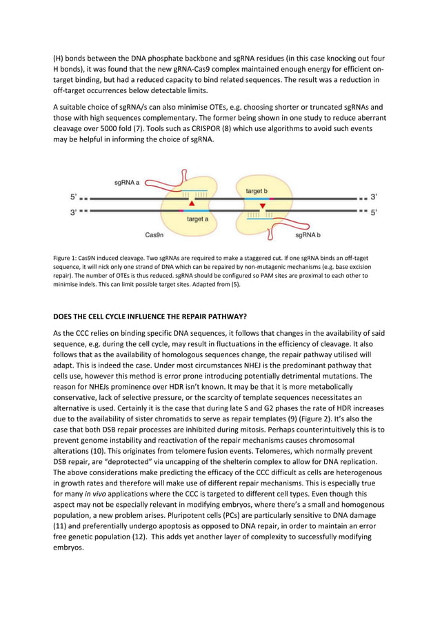 The Efficiency and Ethics of the CRISPR System in Human Embryos | PDF