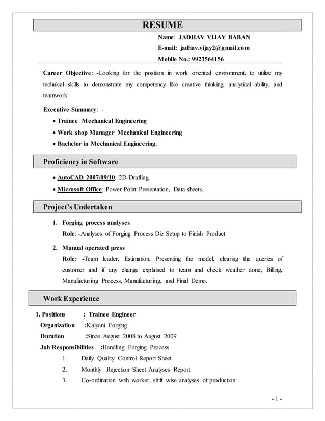 Vijay Jadav Resume | DOCX