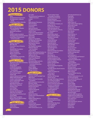 2015 BBBSMT Annual Report | PDF | Adoption and Fostering | Parenting