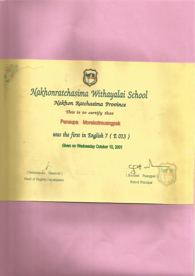 Pansupa Lewis_Thai Interpreter WITS Application form and copies | PDF