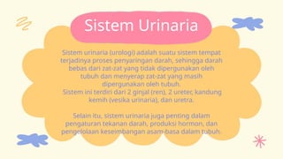sistem urinaria manusia anatomi fisiologi | PPTX