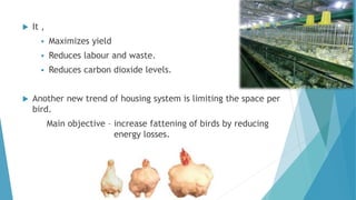 Current trend in broiler farming | PPTX