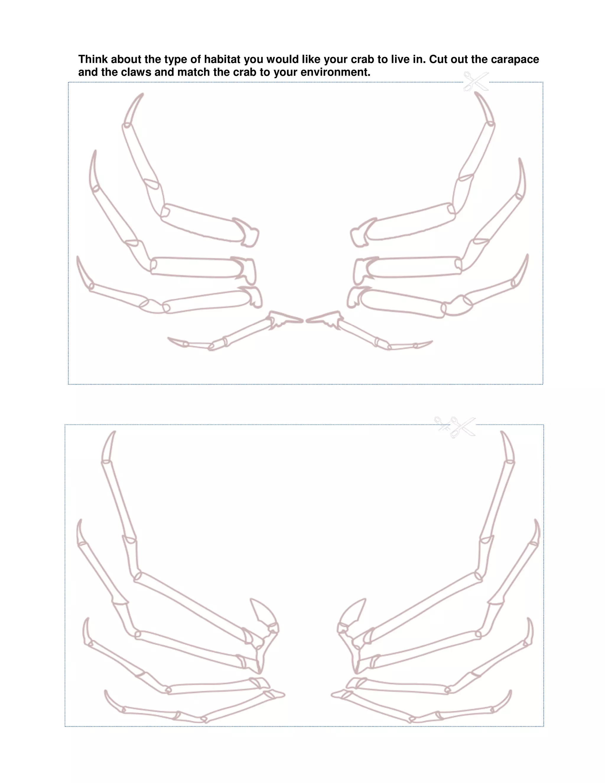 Crab adaptations | PDF