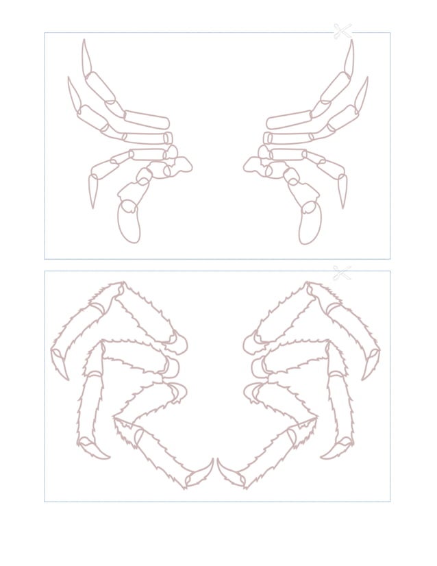 Crab adaptations | PDF
