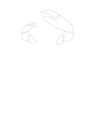 Crab adaptations | PDF