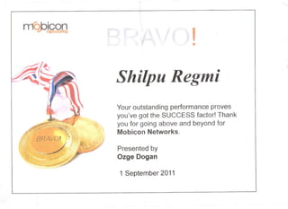 work Bravo certificate | PDF