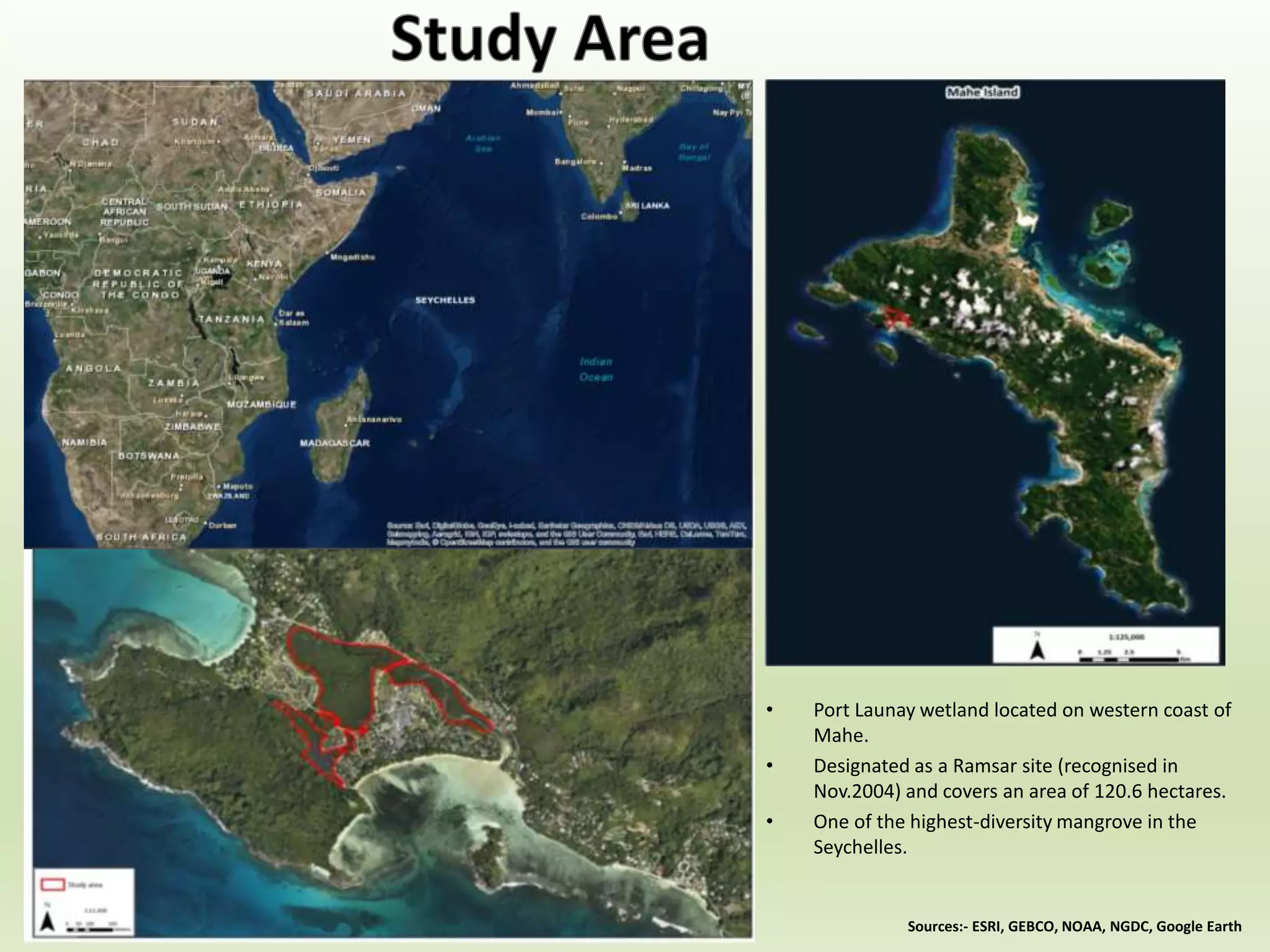 MappingMangroves | PPTX