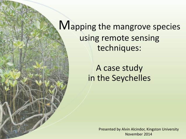 MappingMangroves | PPTX