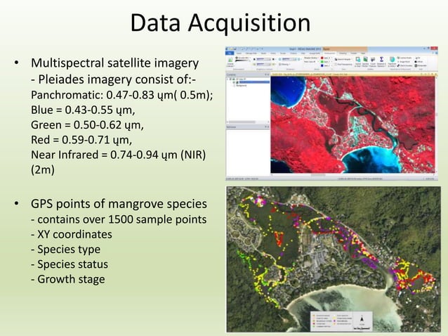 MappingMangroves | PPTX