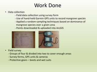 MappingMangroves | PPTX