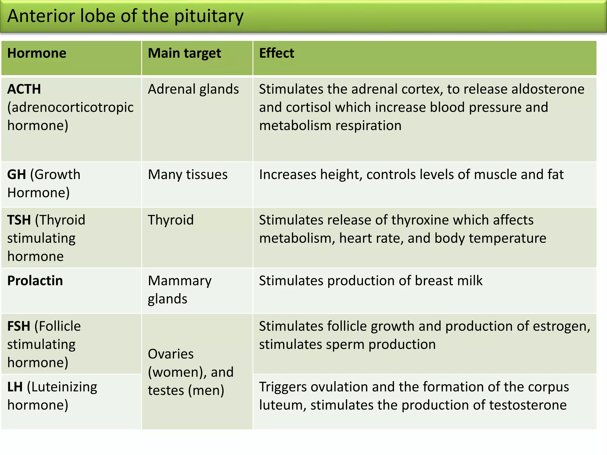 D5 hormones and metabolism presentation | PPT
