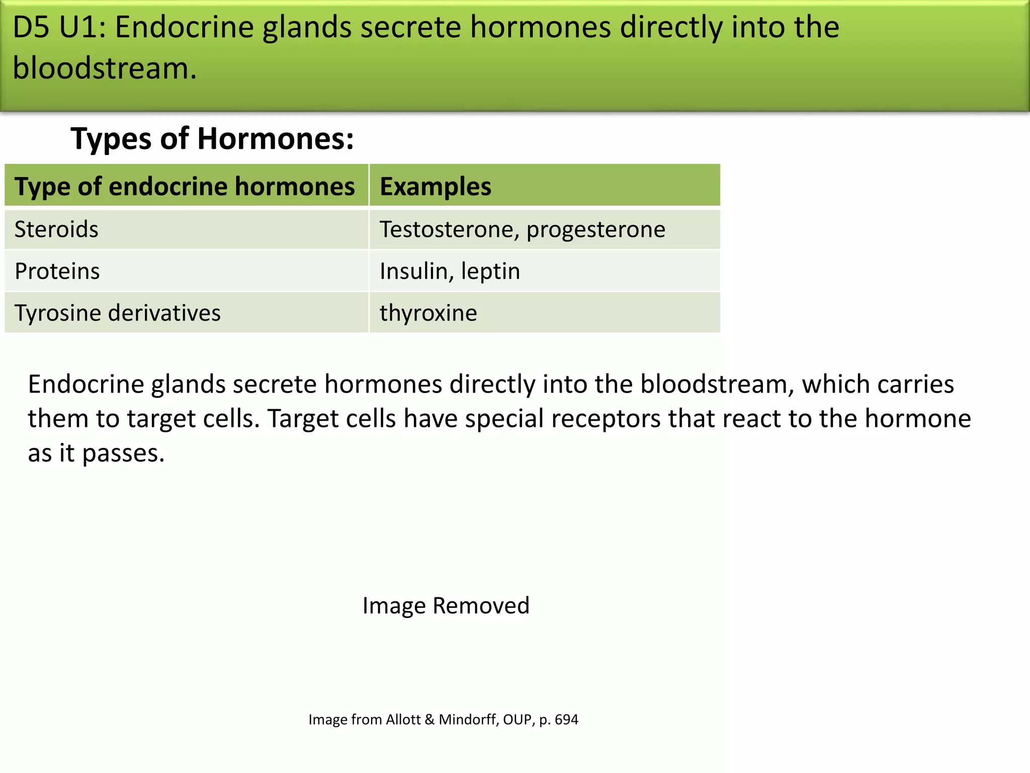 D5 hormones and metabolism presentation | PPT