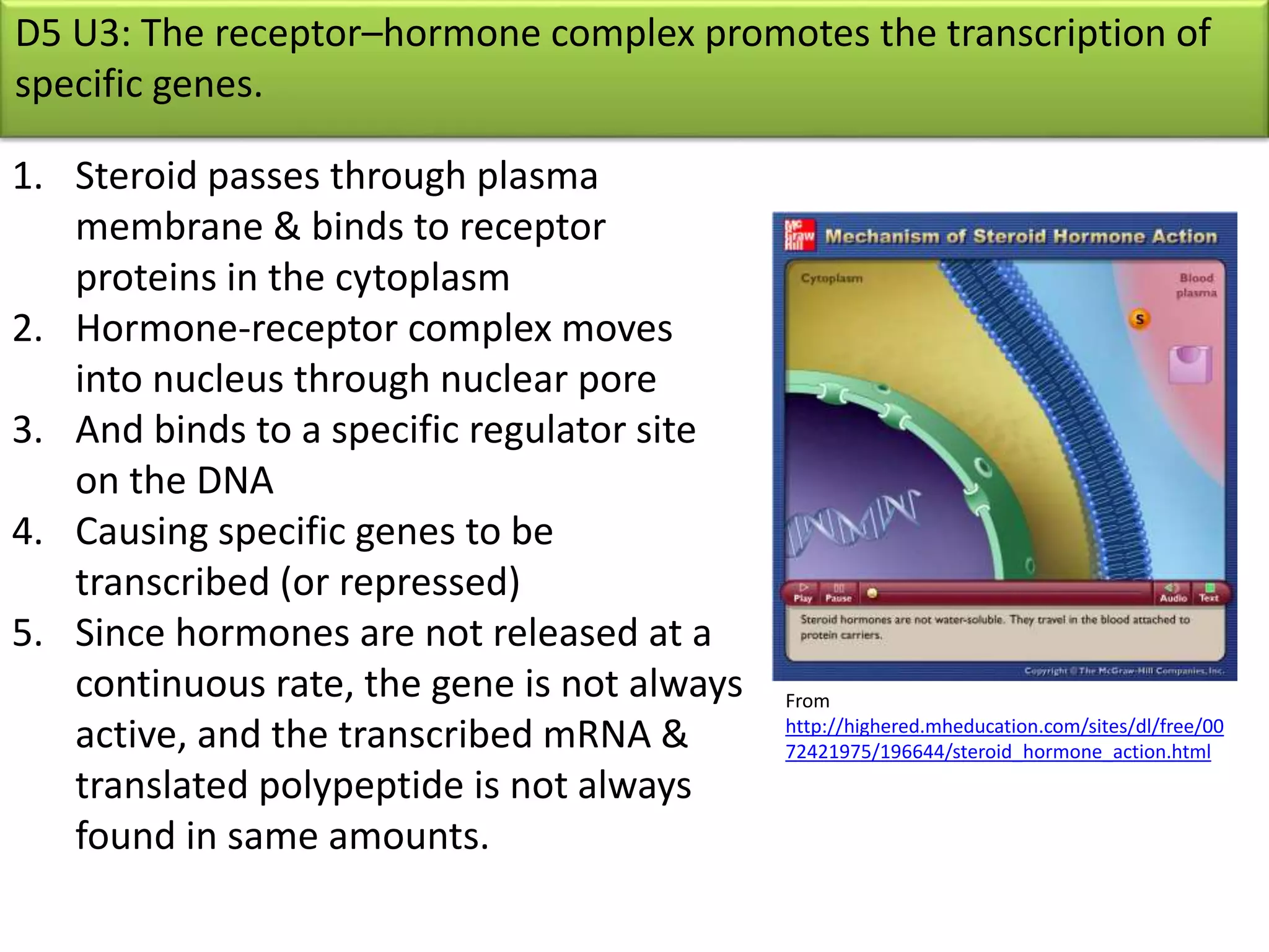 D5 hormones and metabolism presentation | PPT