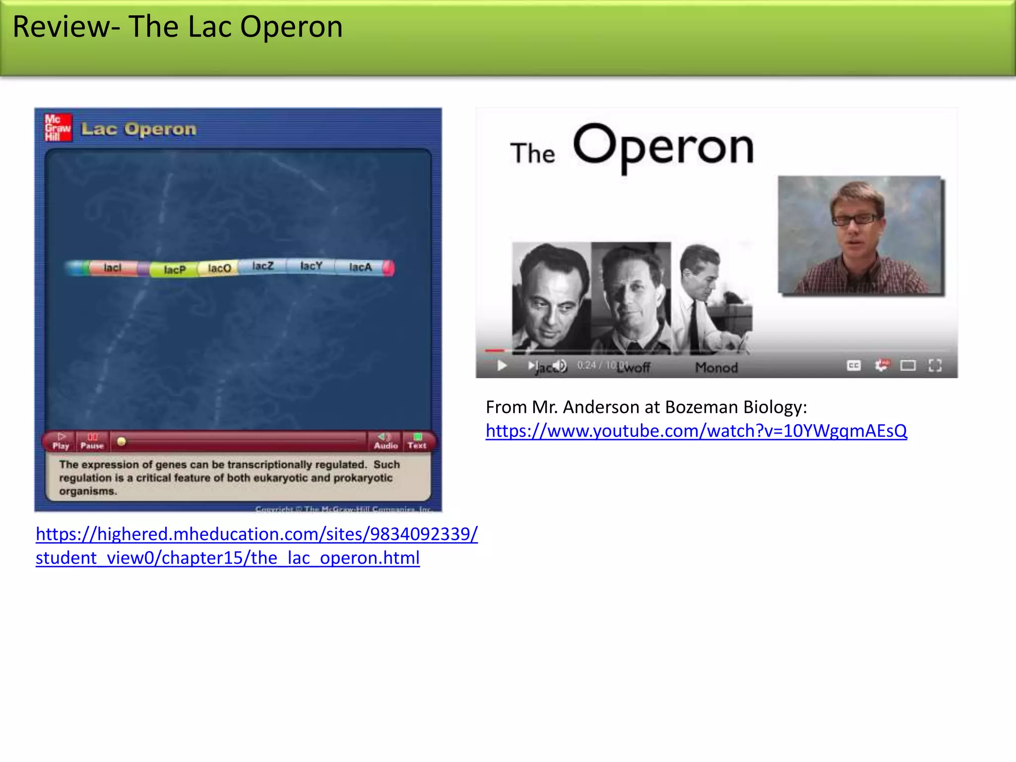 D5 hormones and metabolism presentation | PPT