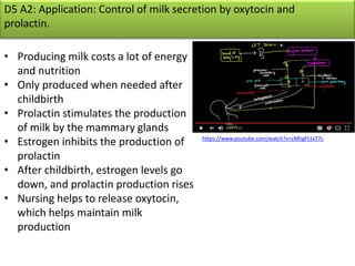 D5 hormones and metabolism presentation | PPTX