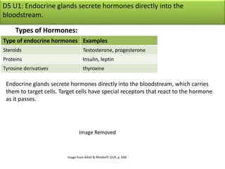 D5 hormones and metabolism presentation | PPTX